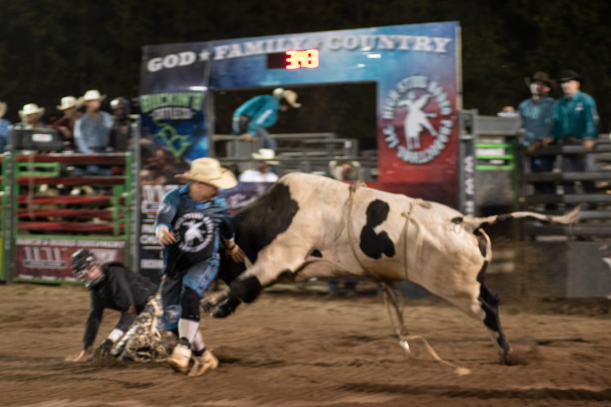 Family-friendly rodeo promises a rip-roaring good time in Avella ...
